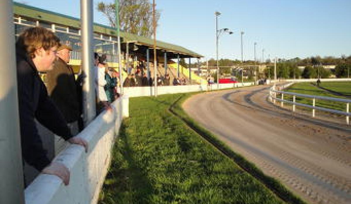 CONFIRMED: Longford greyhound stadium to reopen this Wednesday ...