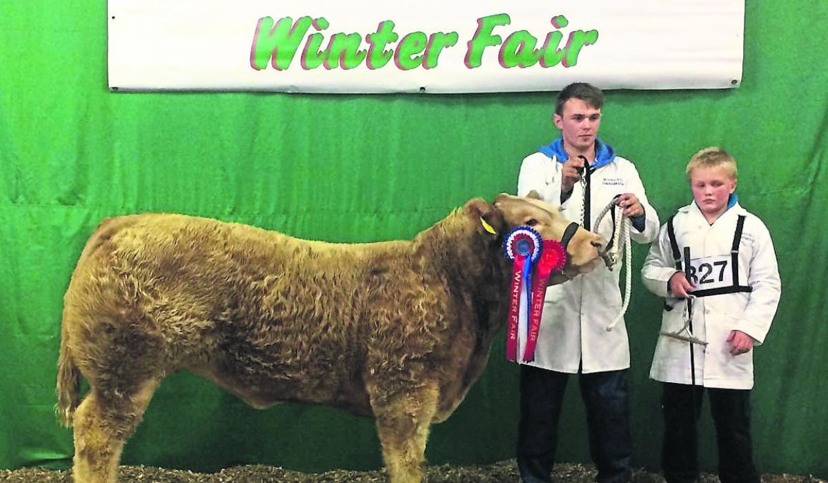 Ballinalee family finishes showing season on a high - Longford Live