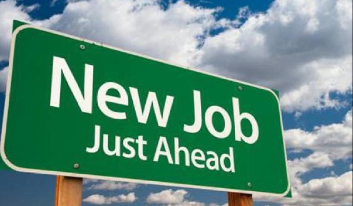 Longford jobs round-up: Who's hiring in the county this week ...