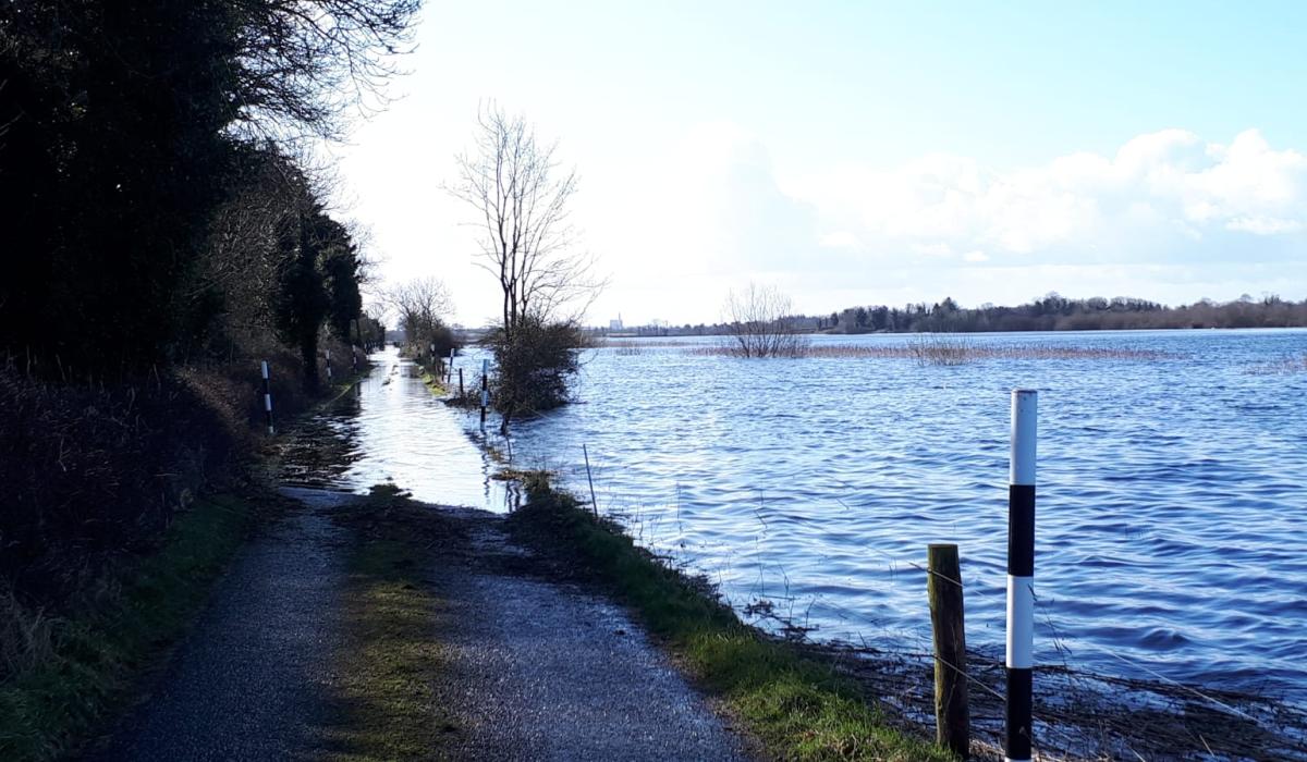 Farmers and residents along the Shannon cry out for 'simple fix' to ...