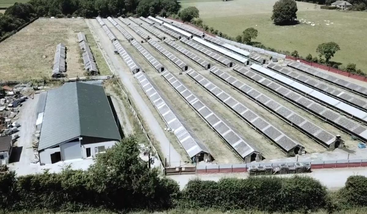 Plans unveiled to demolish massive former Mink Farm in the Midlands ...