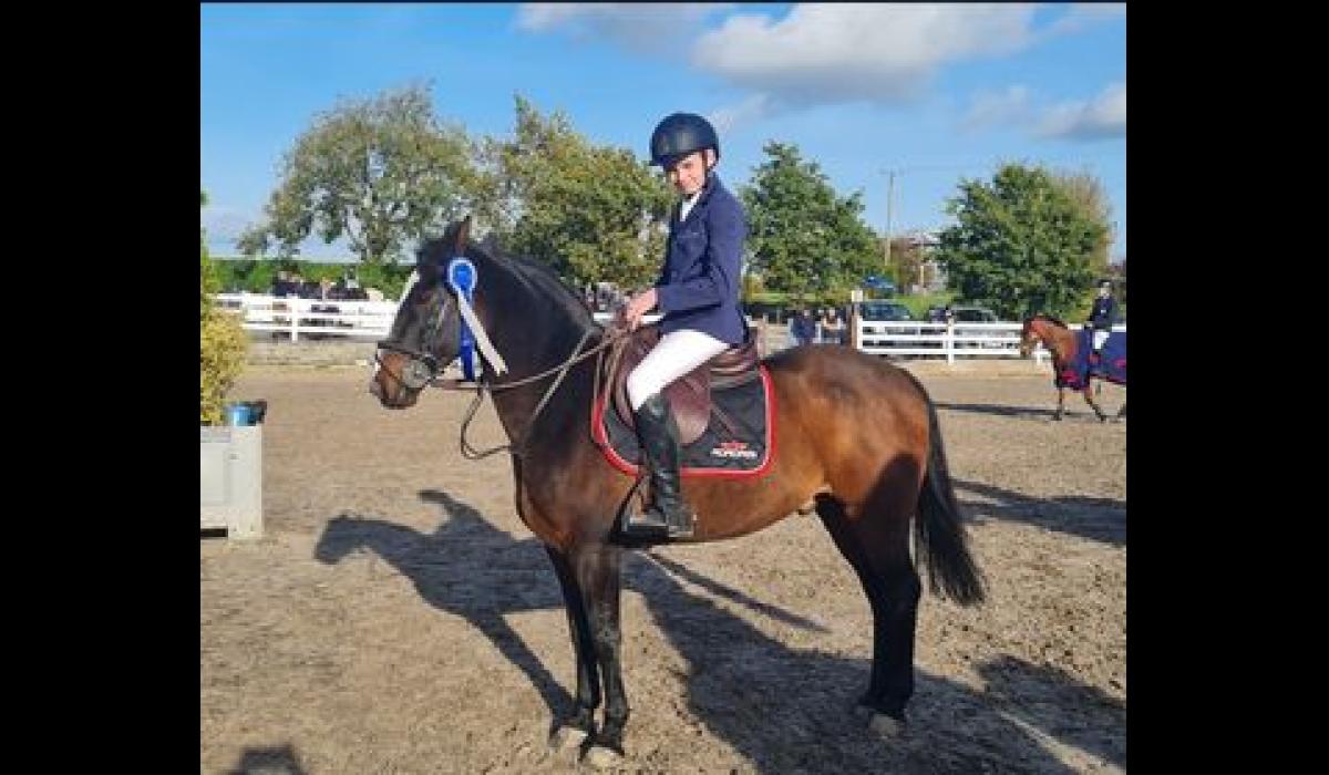 Top performance from Granard showjumper Joe Cadam - Longford Live