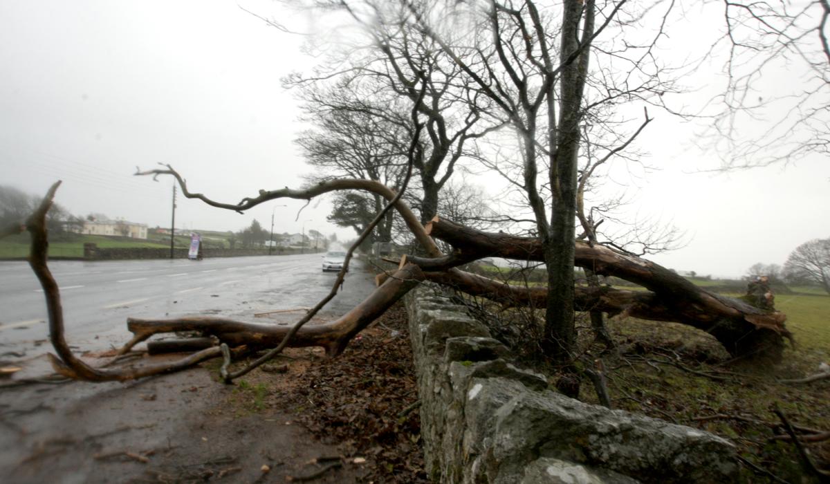 Met Éireann issues status yellow wind warning for seven counties ...