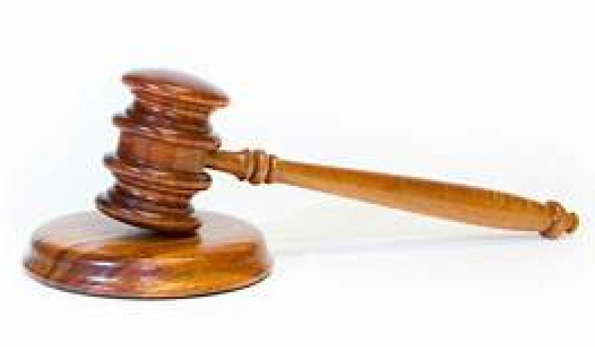 Man granted protection order against 'rabbit-throwing' wife - Longford Live