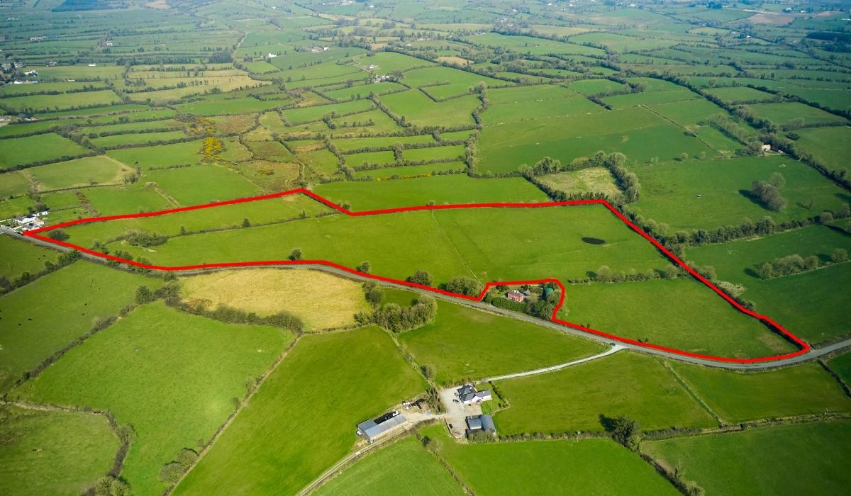 ‘Great confidence among buyers’ as Longford farm sells for almost €0.5 ...