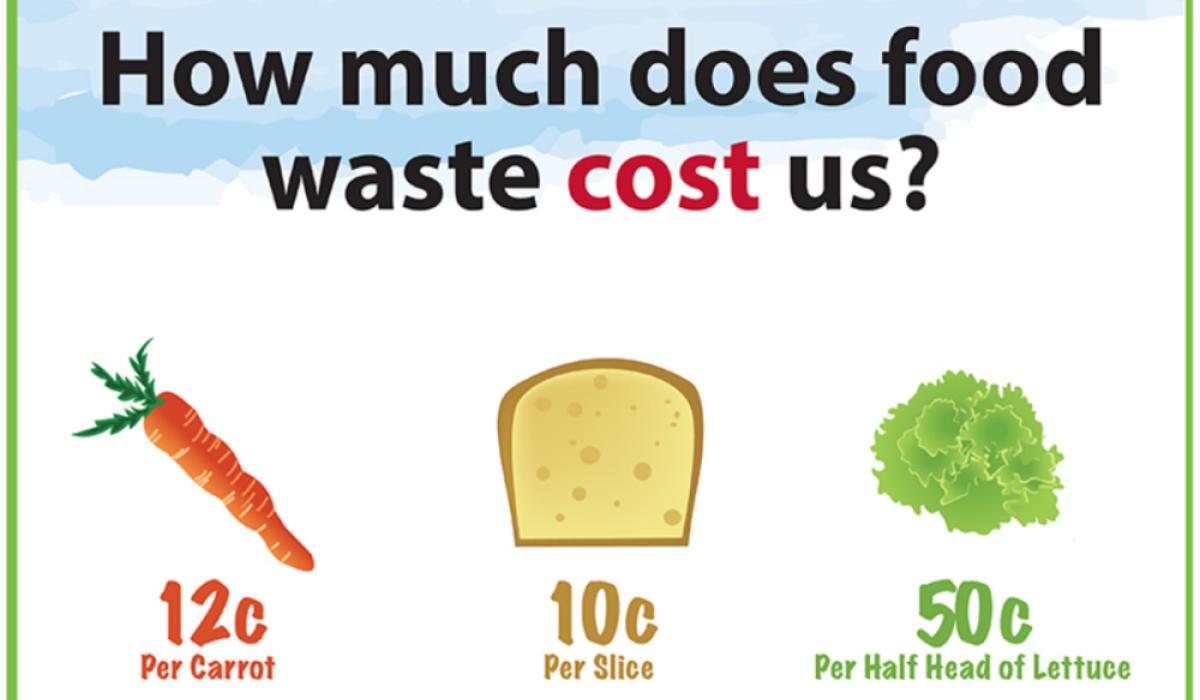 Over one Million tonnes of food waste generated in Ireland annually ...