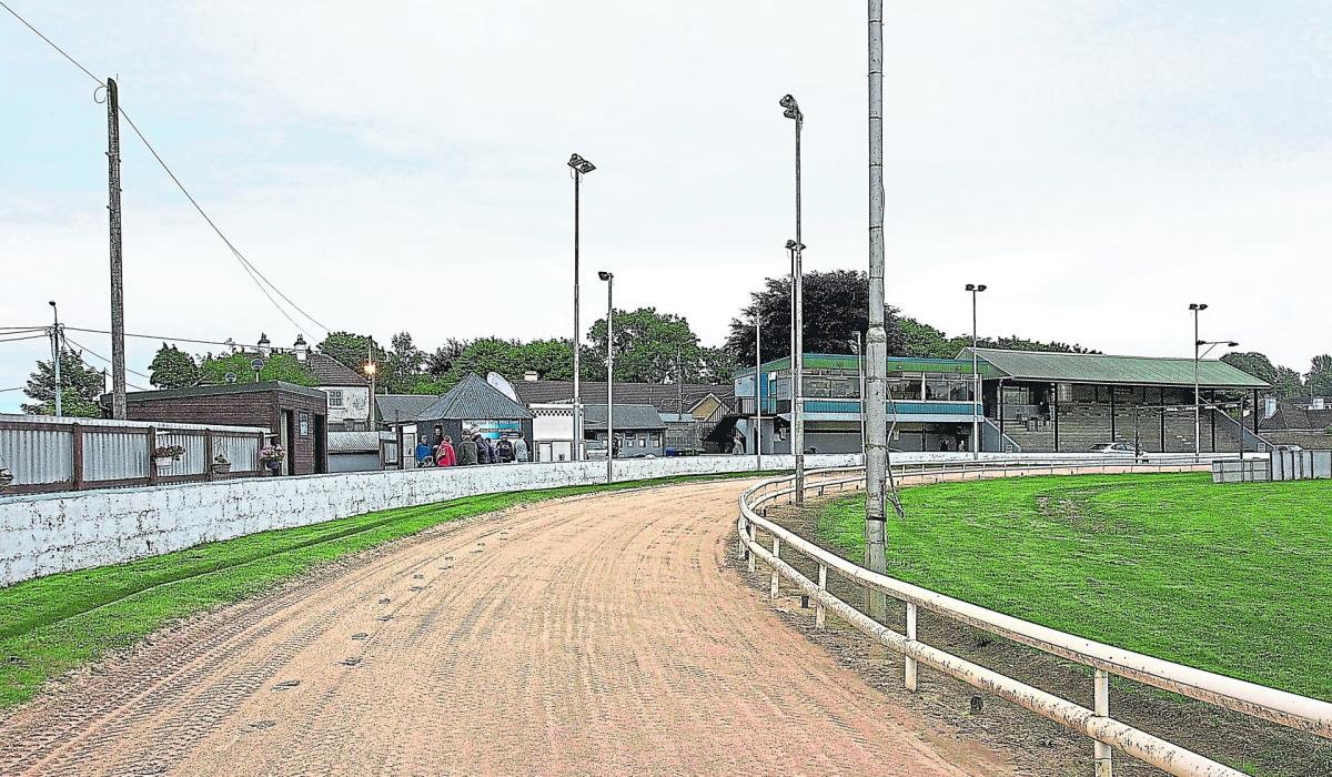 Longford's refugee housing plans is 'bridge too far' - Longford Live