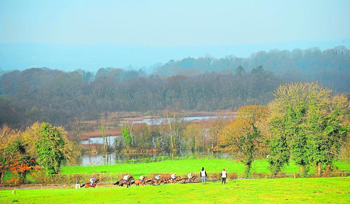 Longford Harriers Point to Point racing action - Longford Live