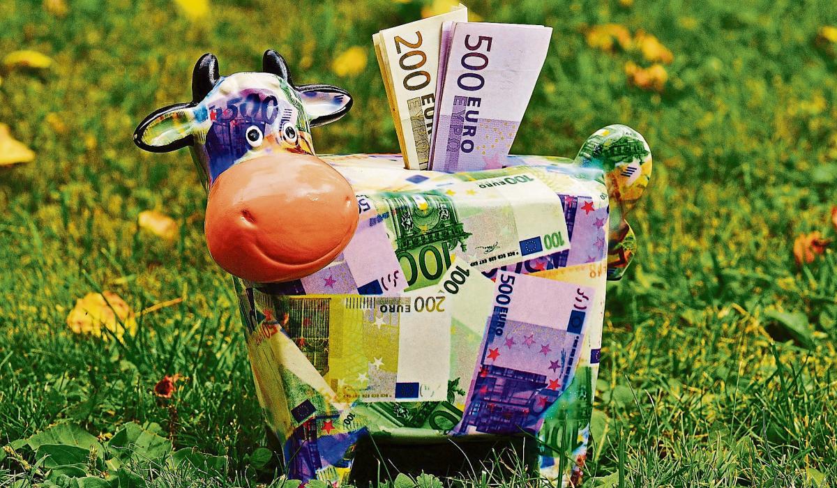 Advice for Longford farmers on BISS, CRISS and ECO Schemes - Longford Live