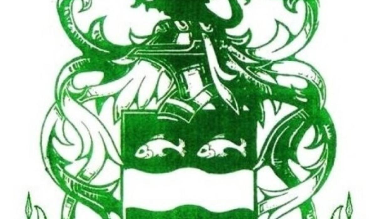 Calling out for the Clan McCabe Rally - Longford Live