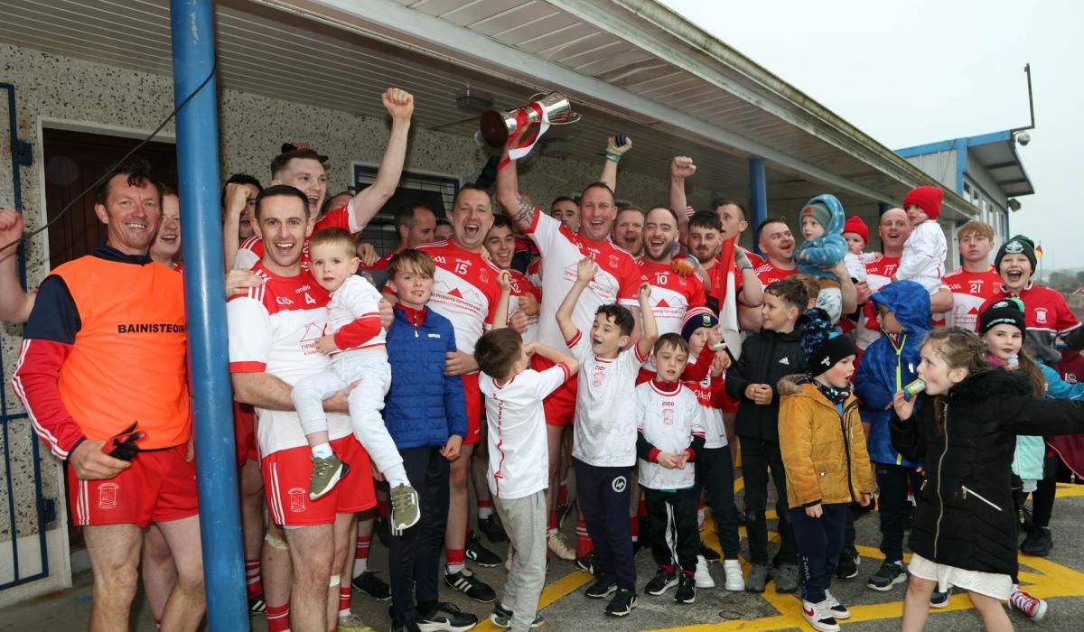 Abbeylara crowned the Longford Junior ‘B’ champions - Longford Live