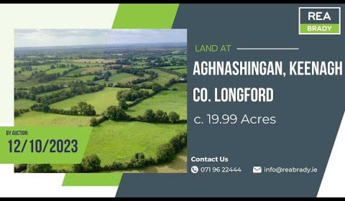 Longford farm to be sold at online auction - Longford Live