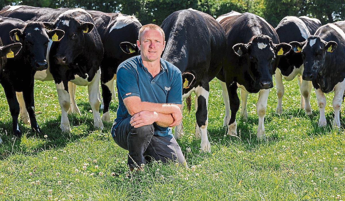 ICMSA say Government intervention can provide solution 'quickly and ...