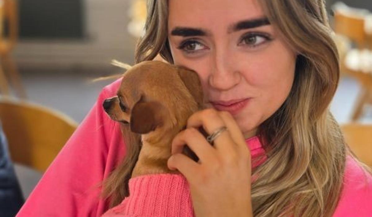 Longford's St Mel’s Musical Society present ‘Legally Blonde’ - Longford ...