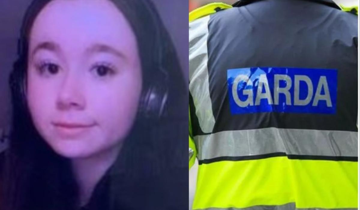 Gardaí seeking assistance in search for missing Cavan teenager (17) - Longford Live