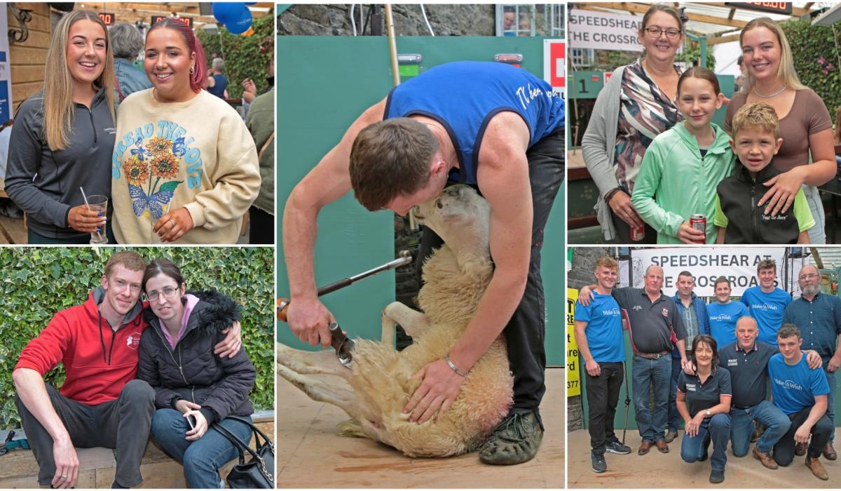 PICTURES | Shear delight! Longford sheep shearers put on top class ...