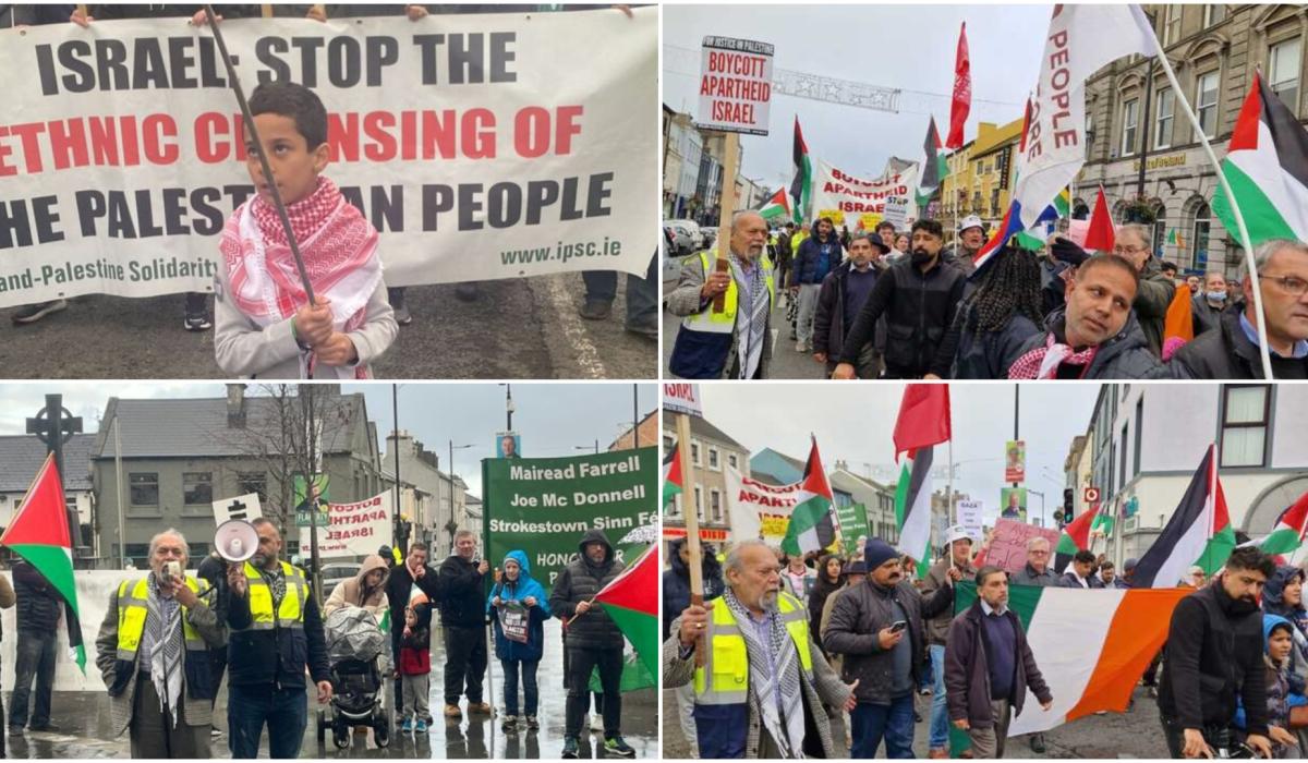 PICTURES | Large crowd attends Longford rally showing solidarity with ...