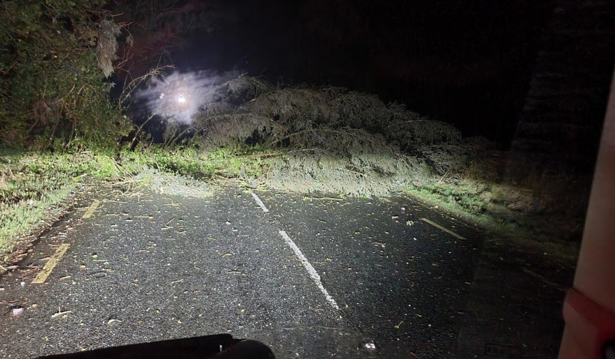 LIVE: Storm Éowyn charges through Longford leaving roads impassable ...