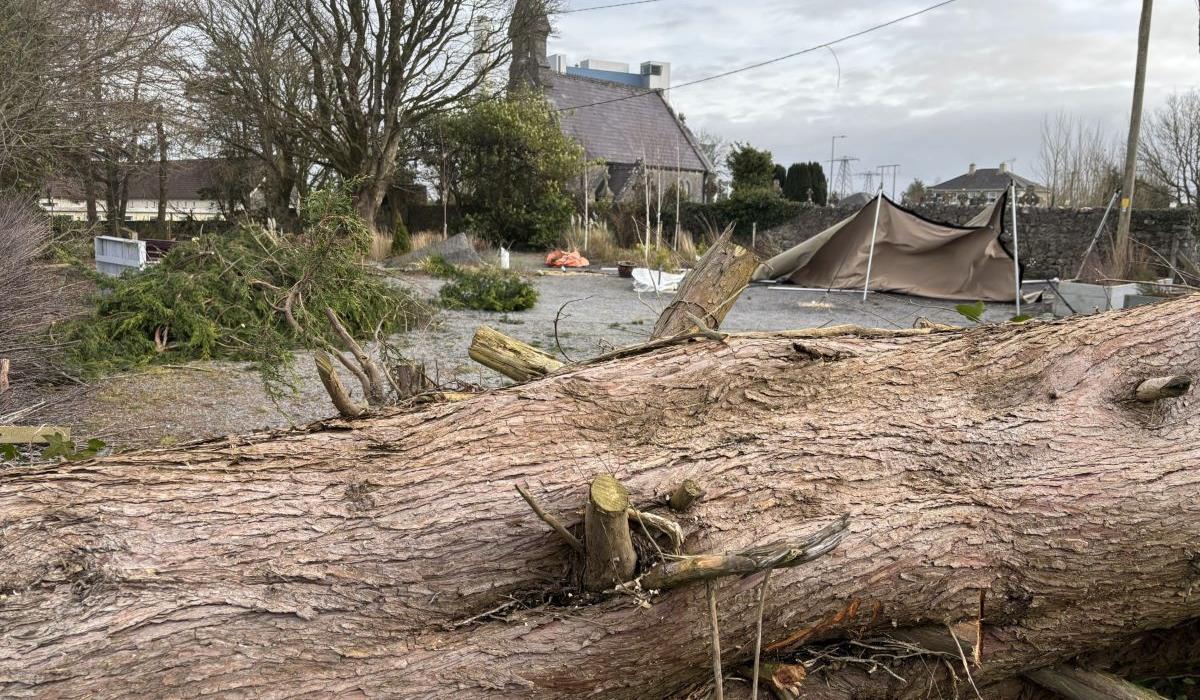 Government have many questions to answer about total neglect of ...