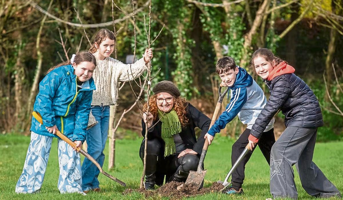 People of Longford urged to play their part and combat climate change ...