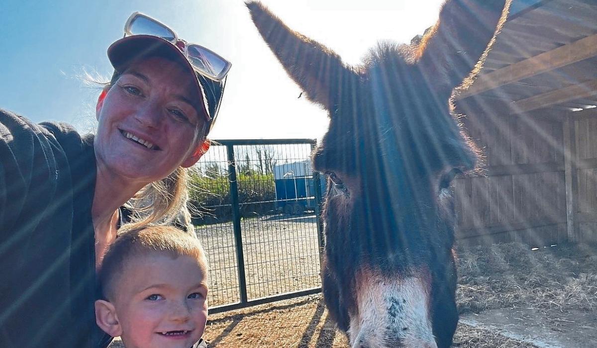 Longford animal rescue centre hosting series of Easter Barnyard Bonanza events - Longford Live