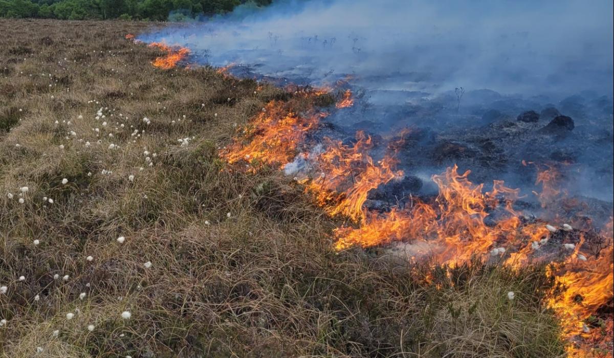 Large bog fire in county Longford - Longford Live