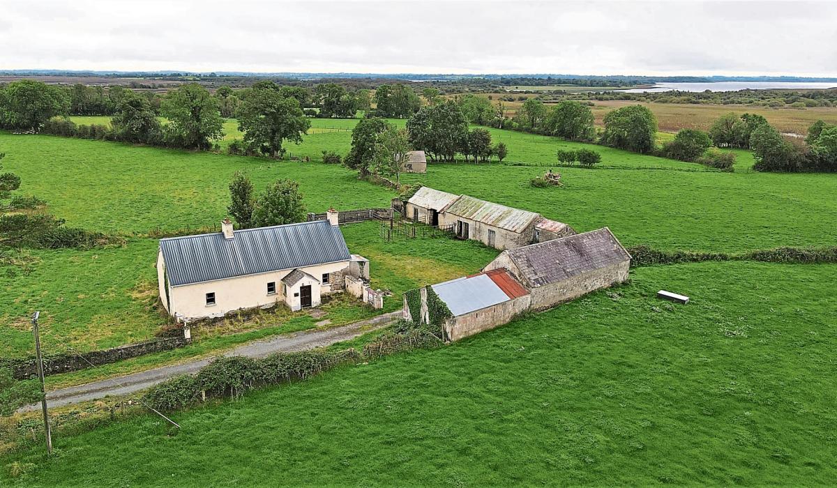 Longford farm is set to go under the hammer at public auction ...