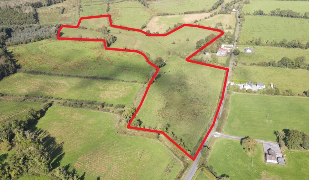 Longford farm featuring 'excellent fattening land' expected to attract ...