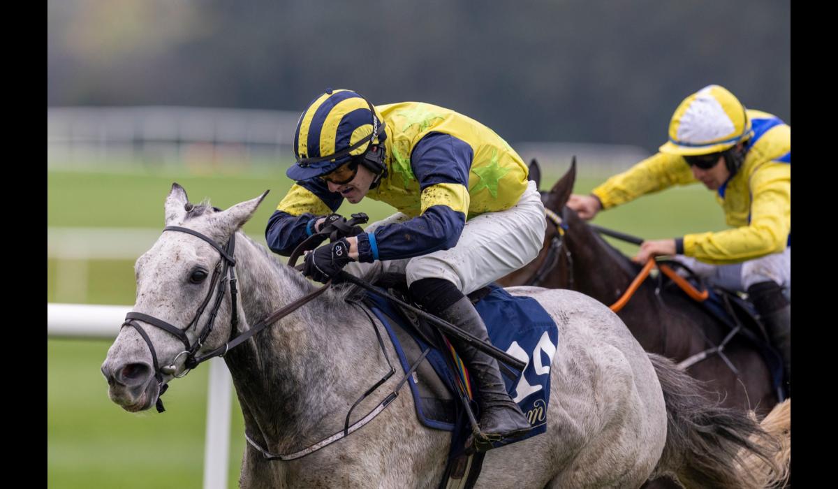 Longford horse trainer Paul Flynn lands a fantastic double at ...