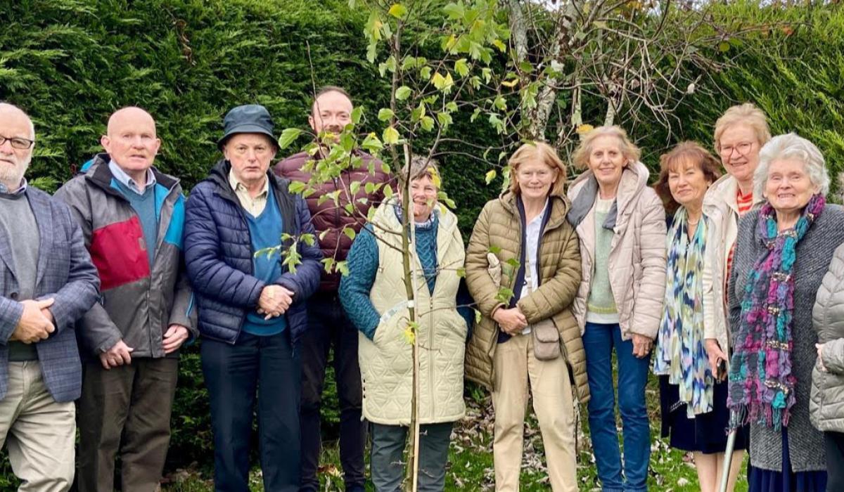 Longford school reunion committee comes together to plant tree for ...