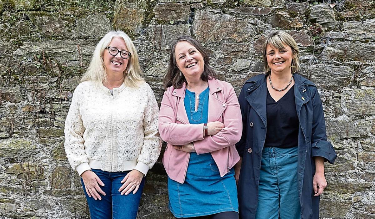 See Her Elected wants to see more Longford women in local politics ...