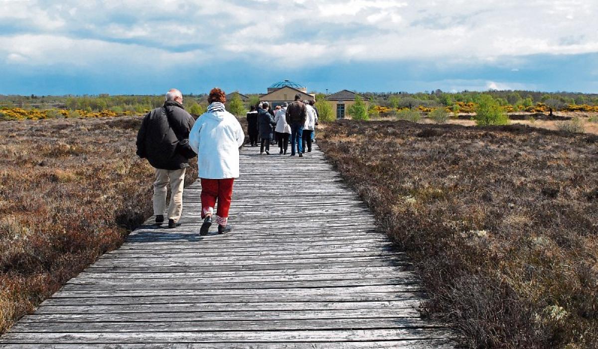 Letter to the editor: New Corlea bog walkways are a credit - Longford Live