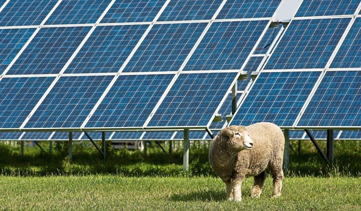 Proposed new county Longford solar farm will have capacity to supply ...