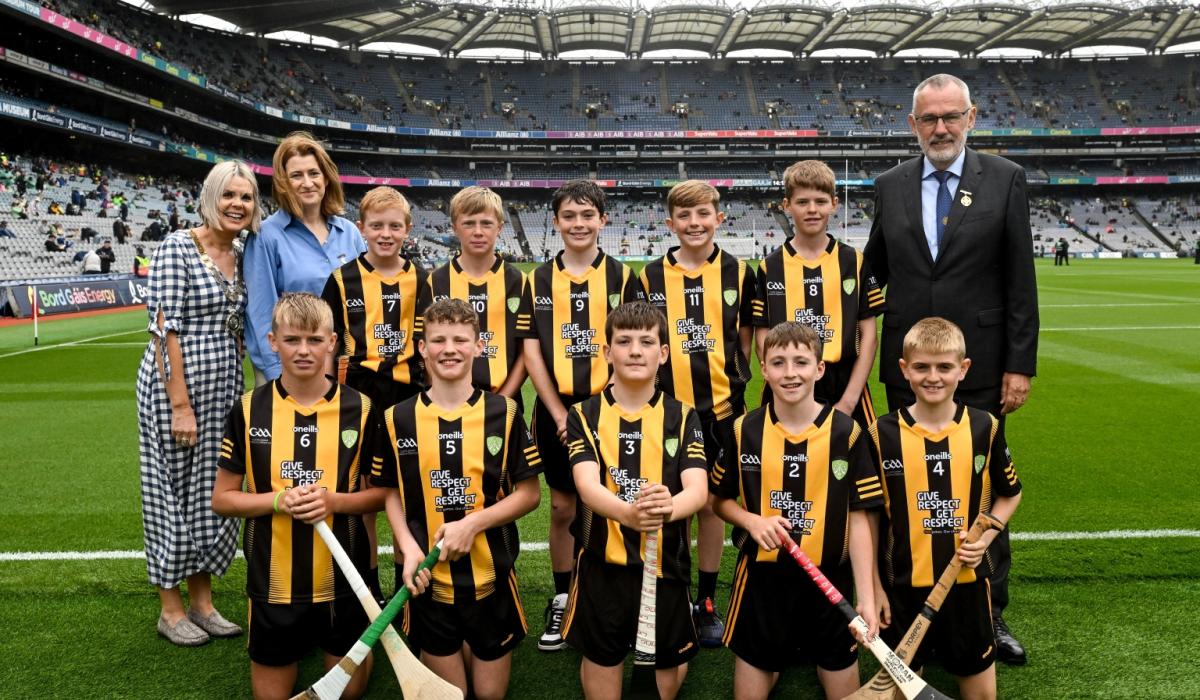 PICTURES | Longford youngster savours All-Ireland hurling final day ...