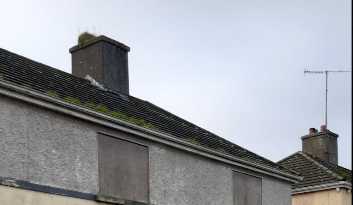 Five year regeneration wait on north Longford estate given €4.9m cash injection - Longford Live