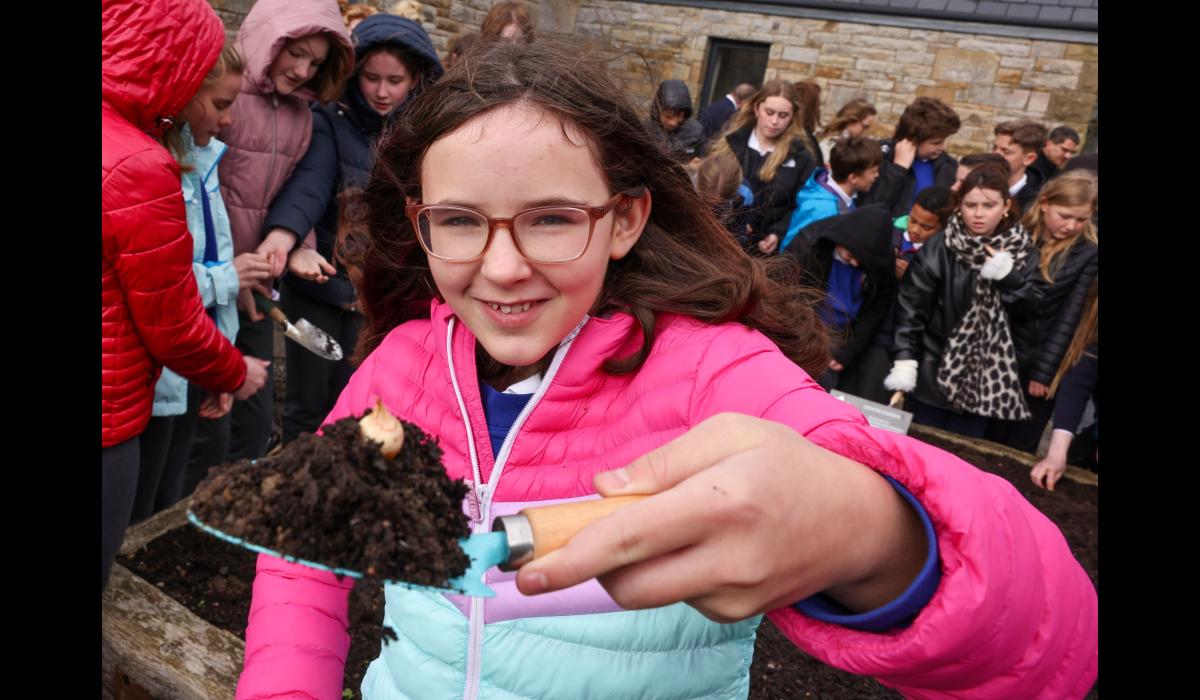 Longford schools urged to get involved in Holocaust commemorative ...