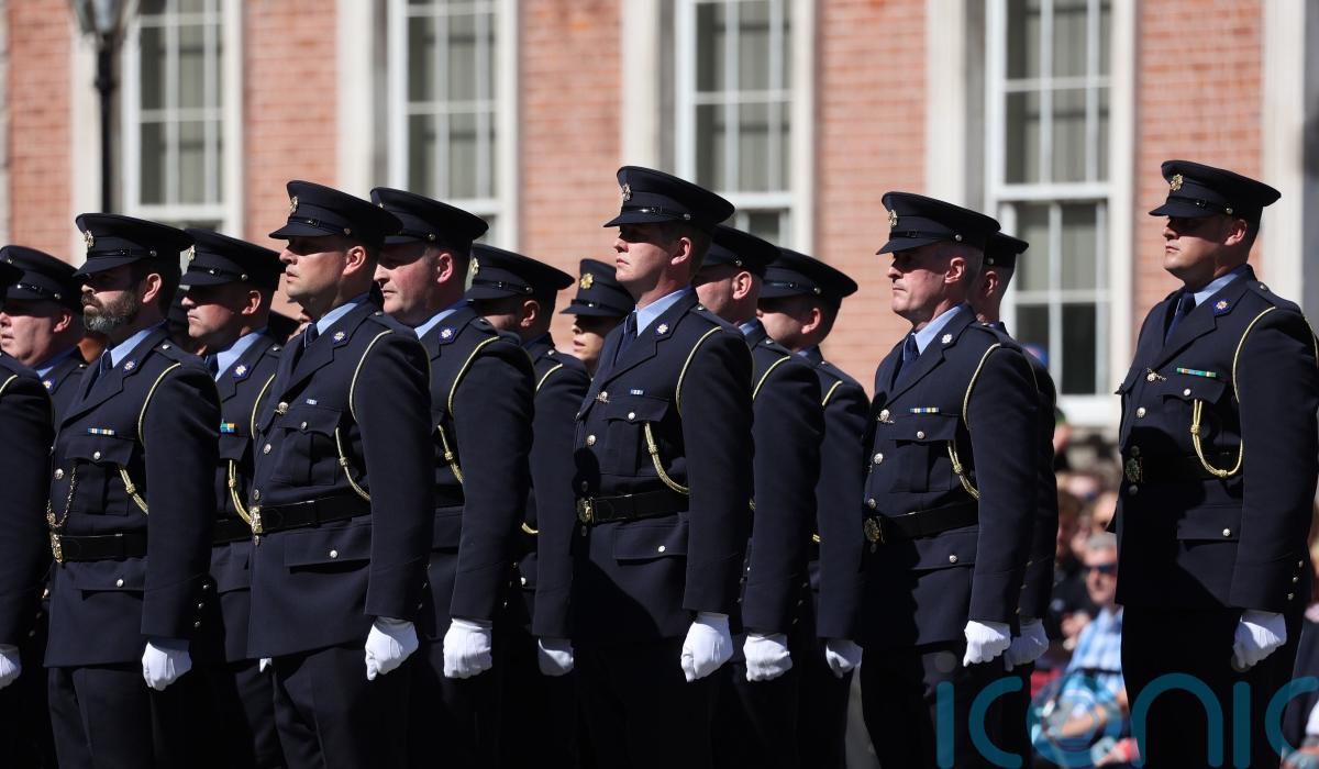 Justice Minister urged to increase garda numbers to tackle rural crime ...