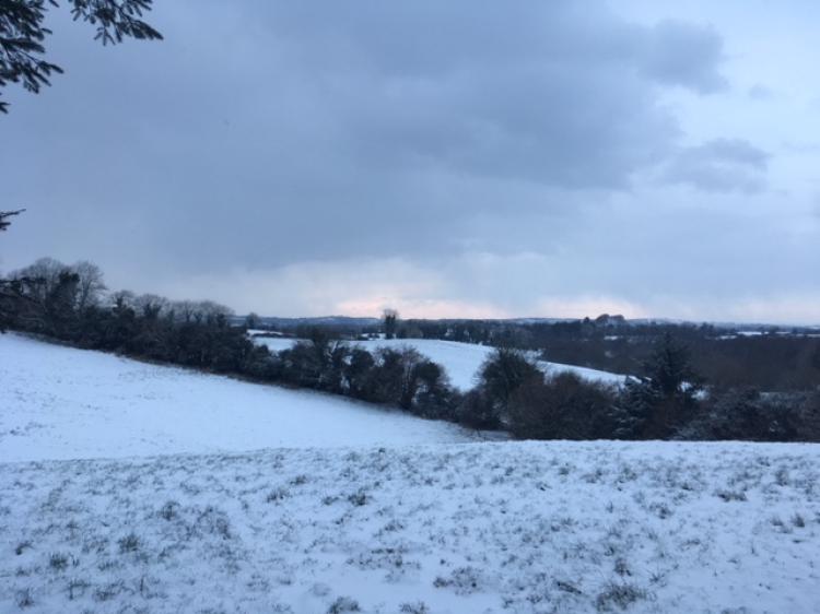 Pictures: Snow scenes in Longford today - Photo 1 of 12 - Longford Leader