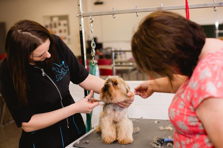 Vacancies still available at Monaghan Institute - Photo 1 of 4 ...