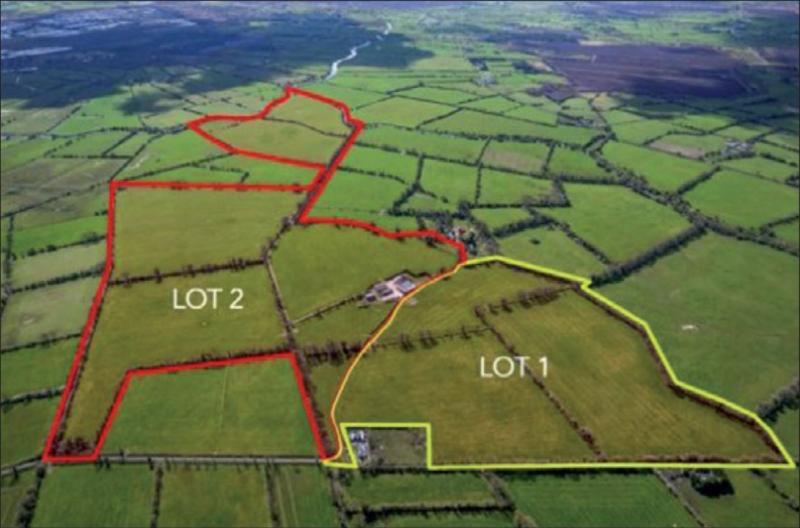 Two large lots of prime Midlands farm land going up for auction next ...
