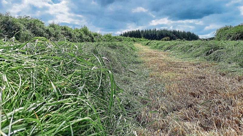 Longford Farming: Tips for making good quality baled silage - Longford Live