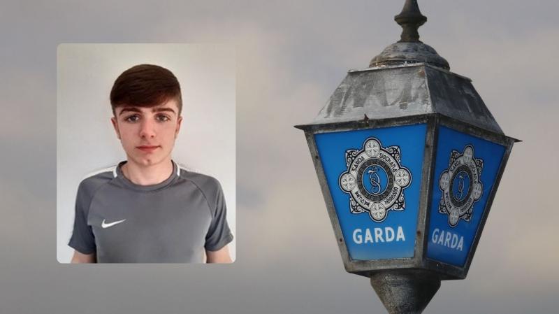 ALERT: Gardai appeal for help in locating 15-year-old boy missing from Dublin home - Longford Live