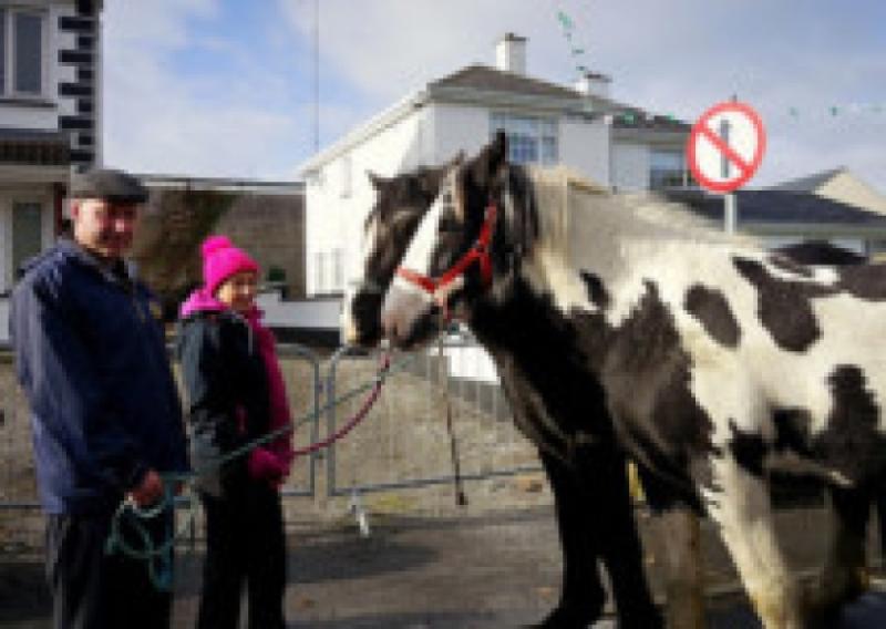 All roads lead to 87th Mohill Show - Longford Live