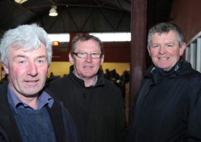 Mixed reaction to CAP Reform among farmers at Ballymahon Mart ...