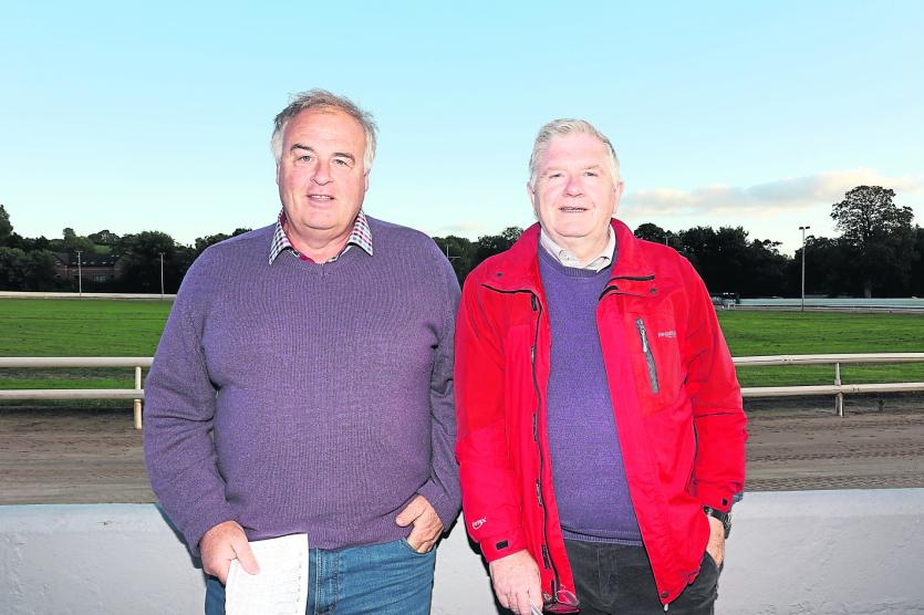 GALLERY: Longford Derby Final Night at Longford Greyhound Stadium ...