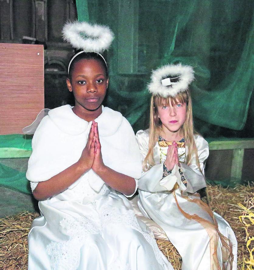 Pictures: Live Crib in Longford for Christmas - Photo 1 of 9 - Longford ...