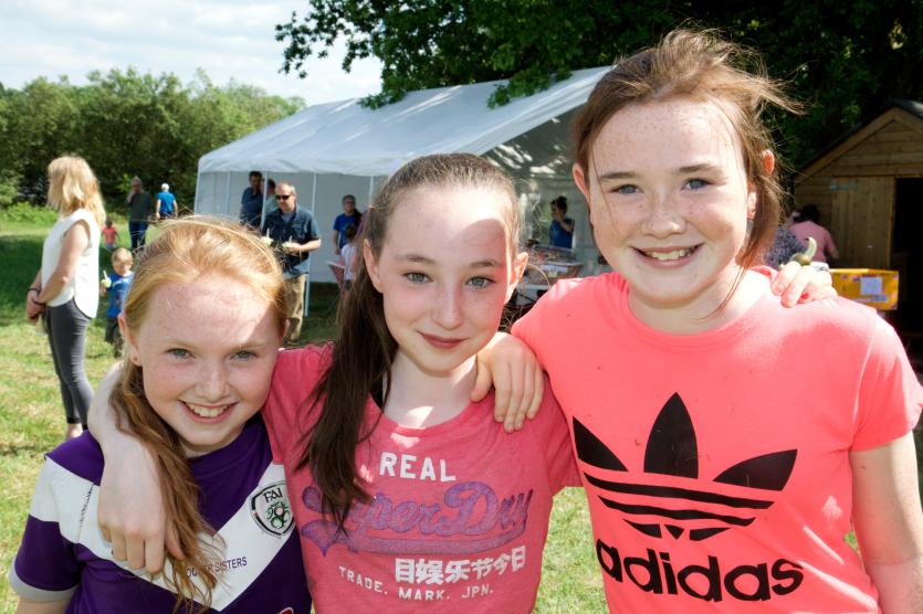 Pictures: Craic agus ceoil galore at the 5th annual Brian Boru Festival ...