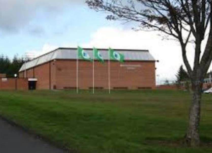 Moyne CS promotes sustainability through visual arts - Longford Leader