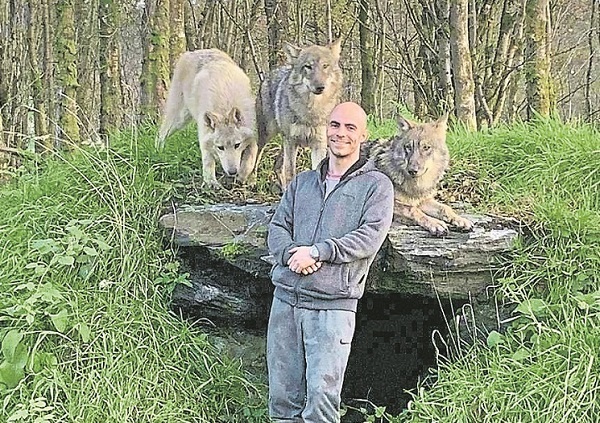 Breathing new life into Ireland's lost wildlife - Wild Ireland to open ...