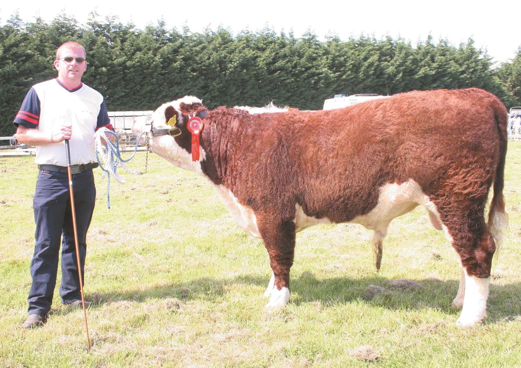 Down Memory Lane | A gallery of beautiful pictures from Longford Leader ...